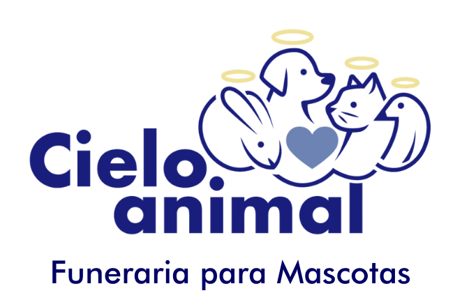 Cómo elegir la funeraria para mascotas adecuada: Una guía comprensiva ...