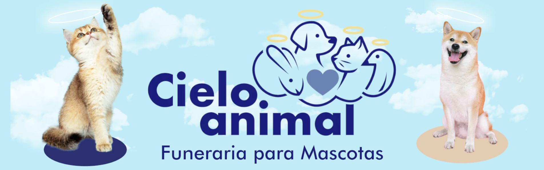 La Rabia y los Servicios de Cremación para Mascotas: Cuidado y Precios ...